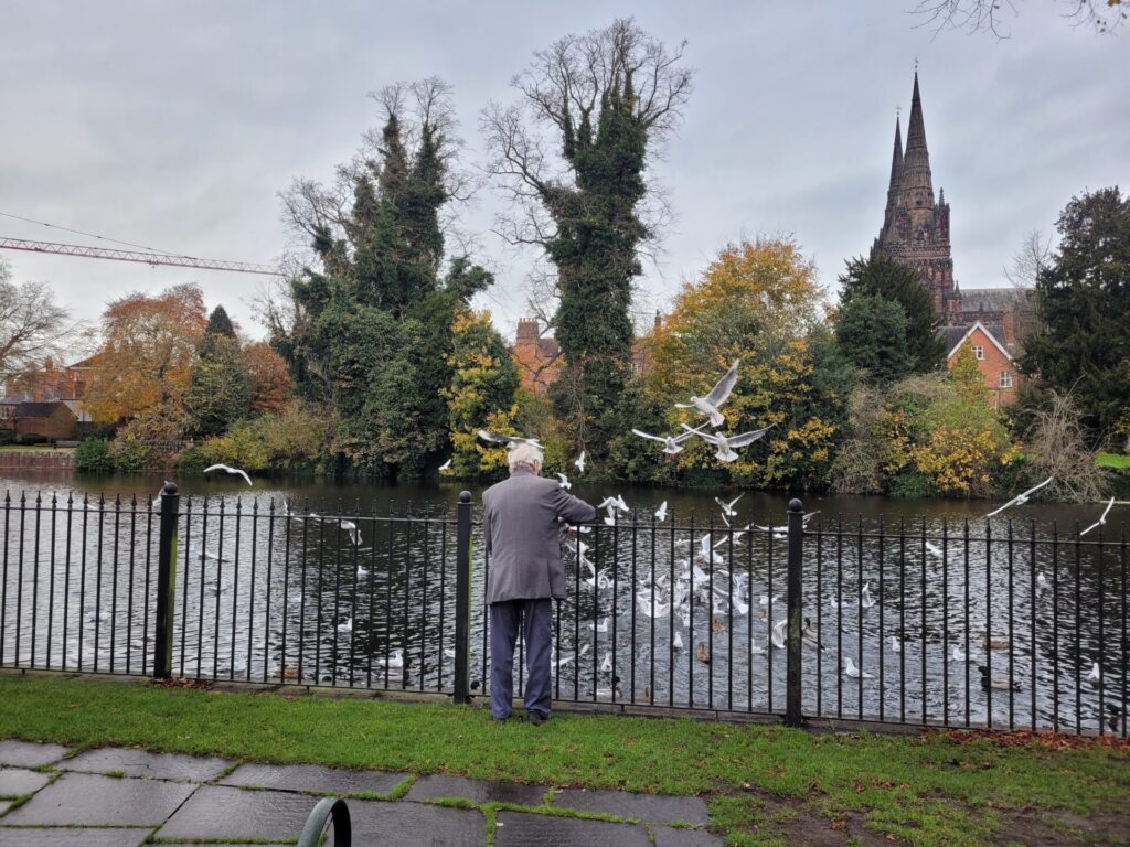 Gallery - Lichfield Stowe Pool Amble - Nov 25 - Tamworth (UK)